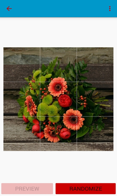 Masgor:Amazon.com:Appstore for Android