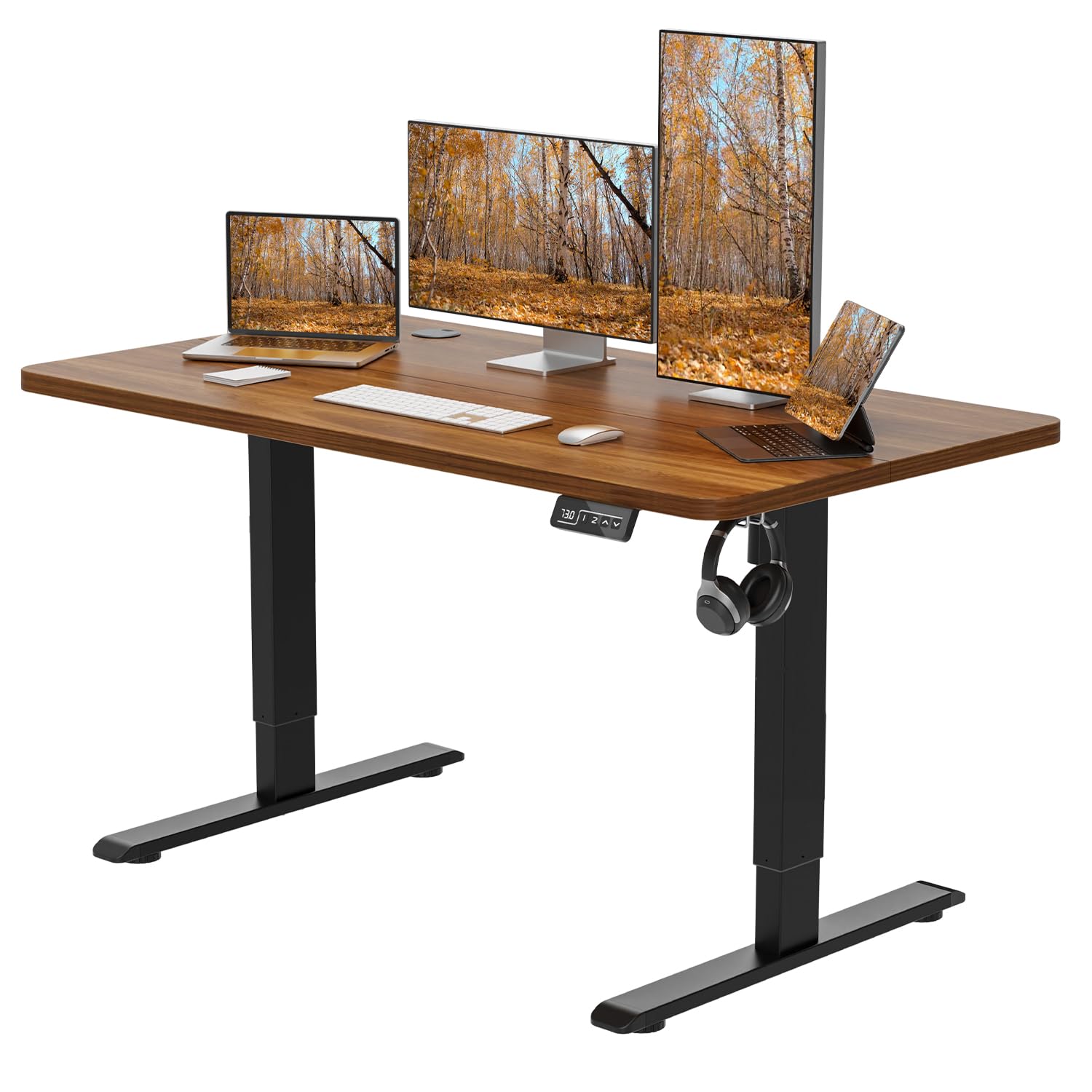 Anovara Elevating Desk, Electric Elevating Desk, Width 47.2 inches (120 ...