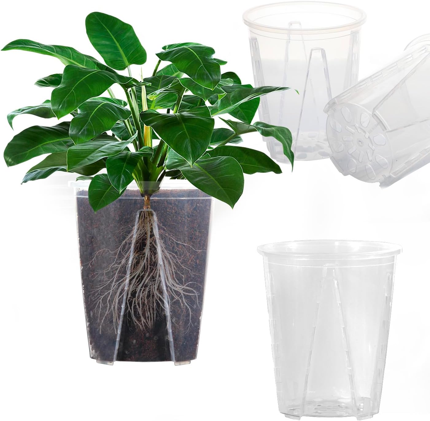 Amazon.com: karenplantsplants™ 7", 9" Clear Tall Slotted Air Vent Pots ...