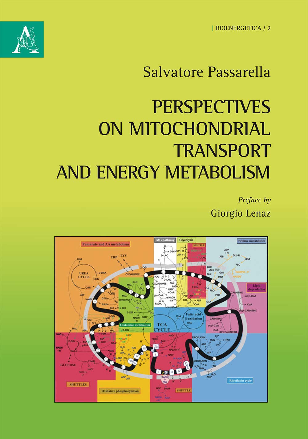 Perspectives on Mitochondrial Transport and Energy Metabolism: Amazon ...
