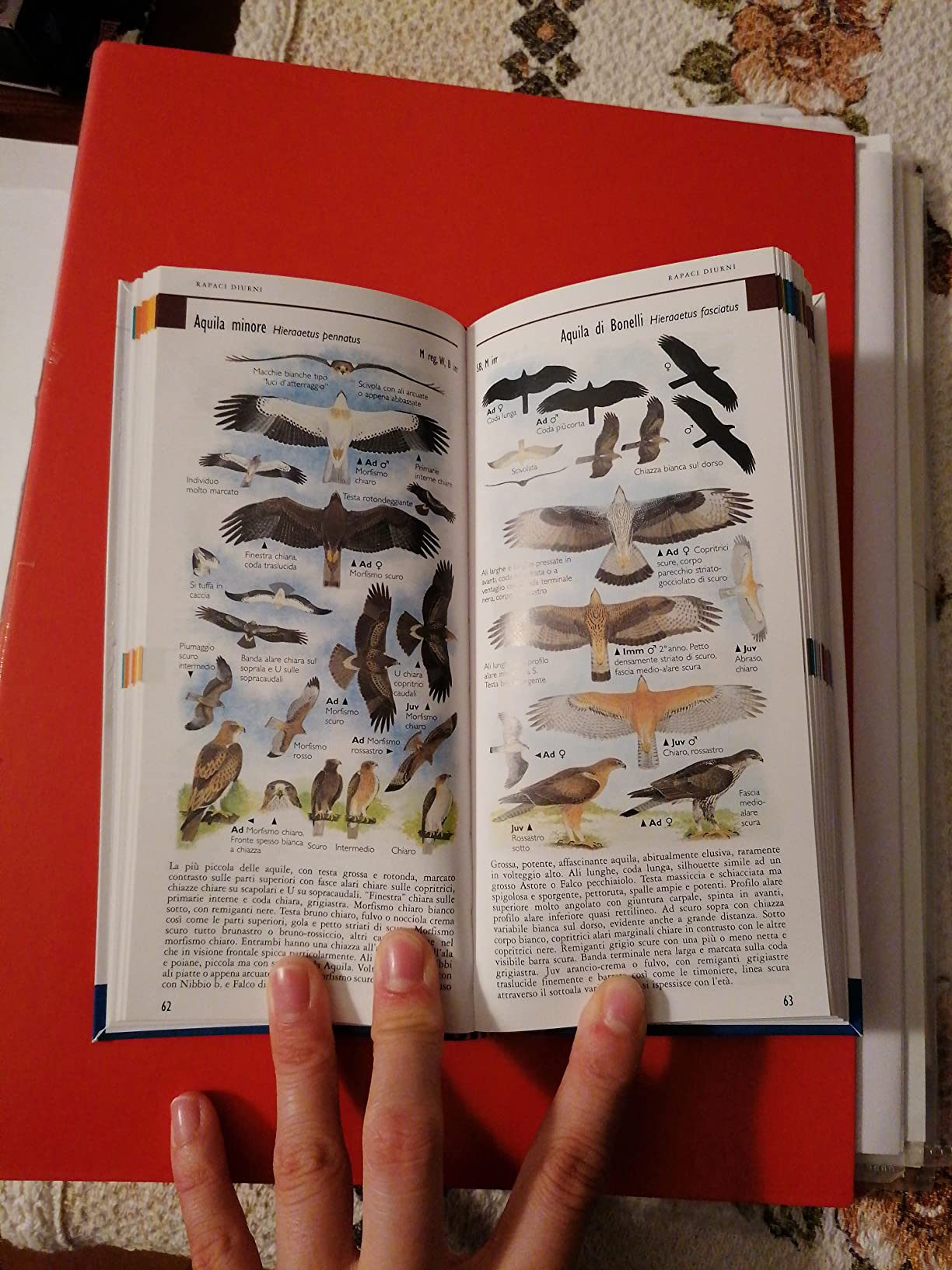 Amazon.it: La nuova guida del Birdwatcher - Hayman, Peter, Hume, Rob ...