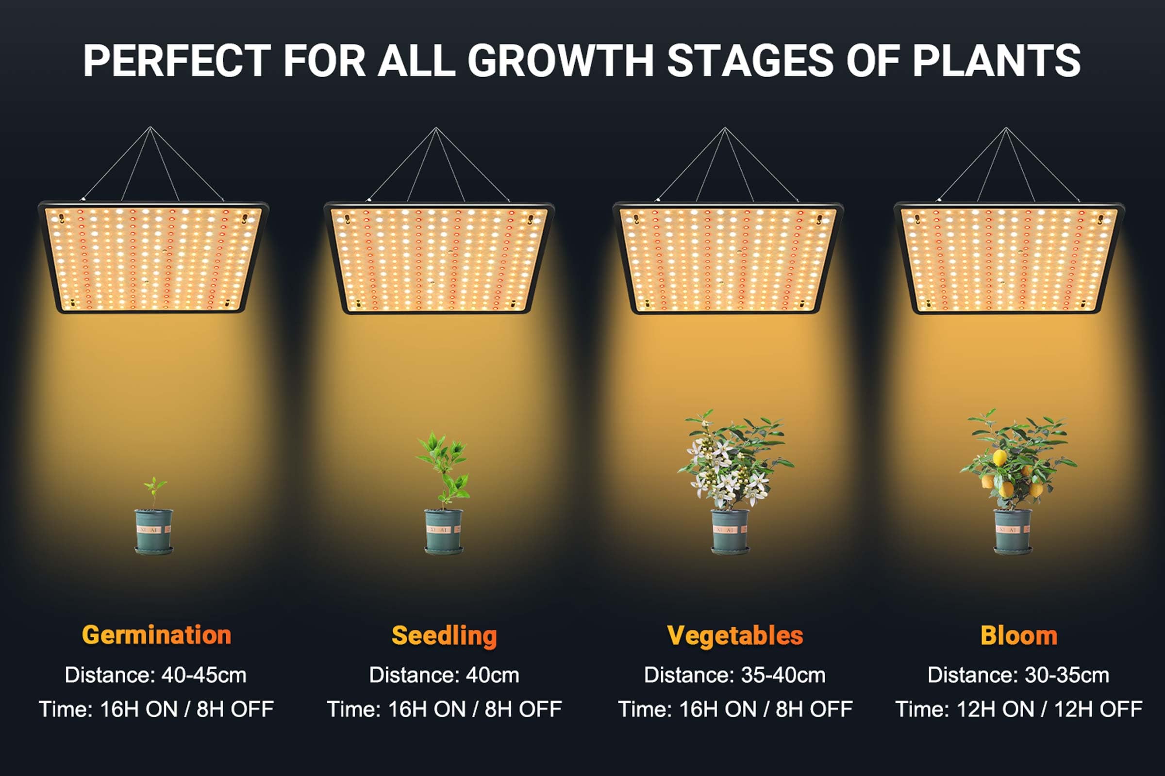 Lighting Chart For Vegetable Plants Best Grow Lights 2025 For Indoor