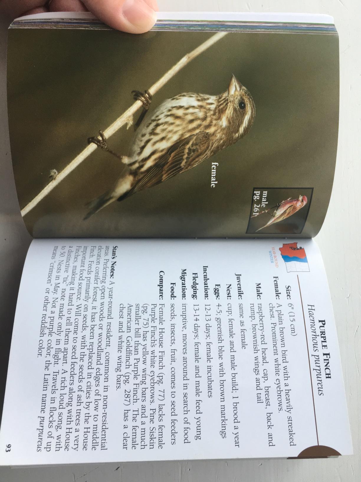 Birds of Oregon Field Guide: Tekiela, Stan: 9781885061317: Amazon.com ...