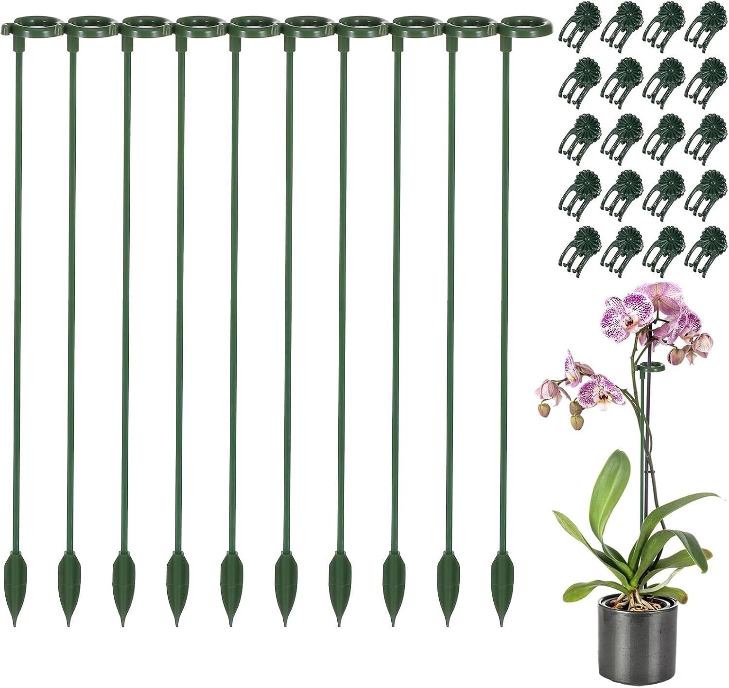 Amazon.com : Nogeqi 10 Pack Plant Support Stakes,Orchid Stakes and ...