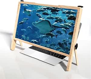 Amazon.com: Screen Magnifier for Laptop Computer Magnifying Enlarger ...