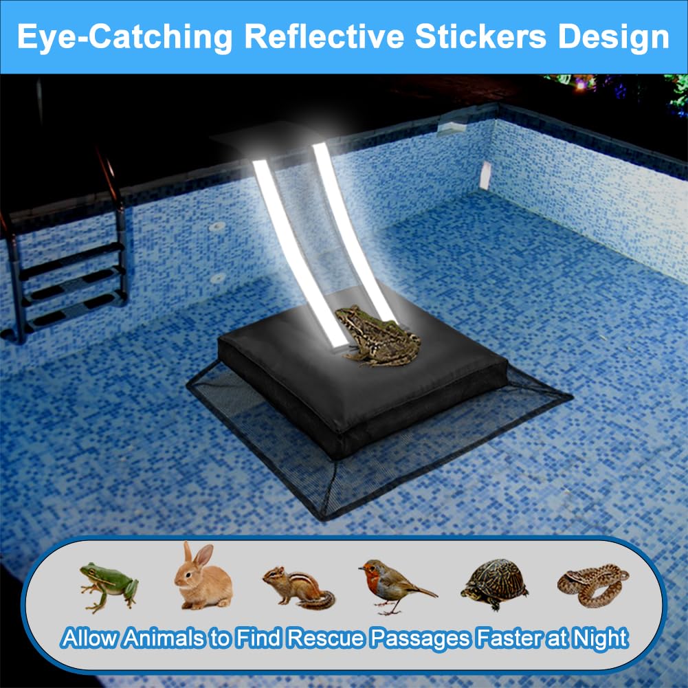 Snapklik.com : HKZ Animal Saving Escape Ramp For Pool, Critters Frog ...