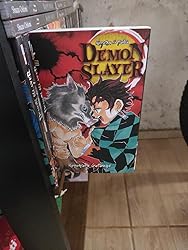 Demon Slayer - Kimetsu No Yaiba Vol. 4 | Amazon.com.br