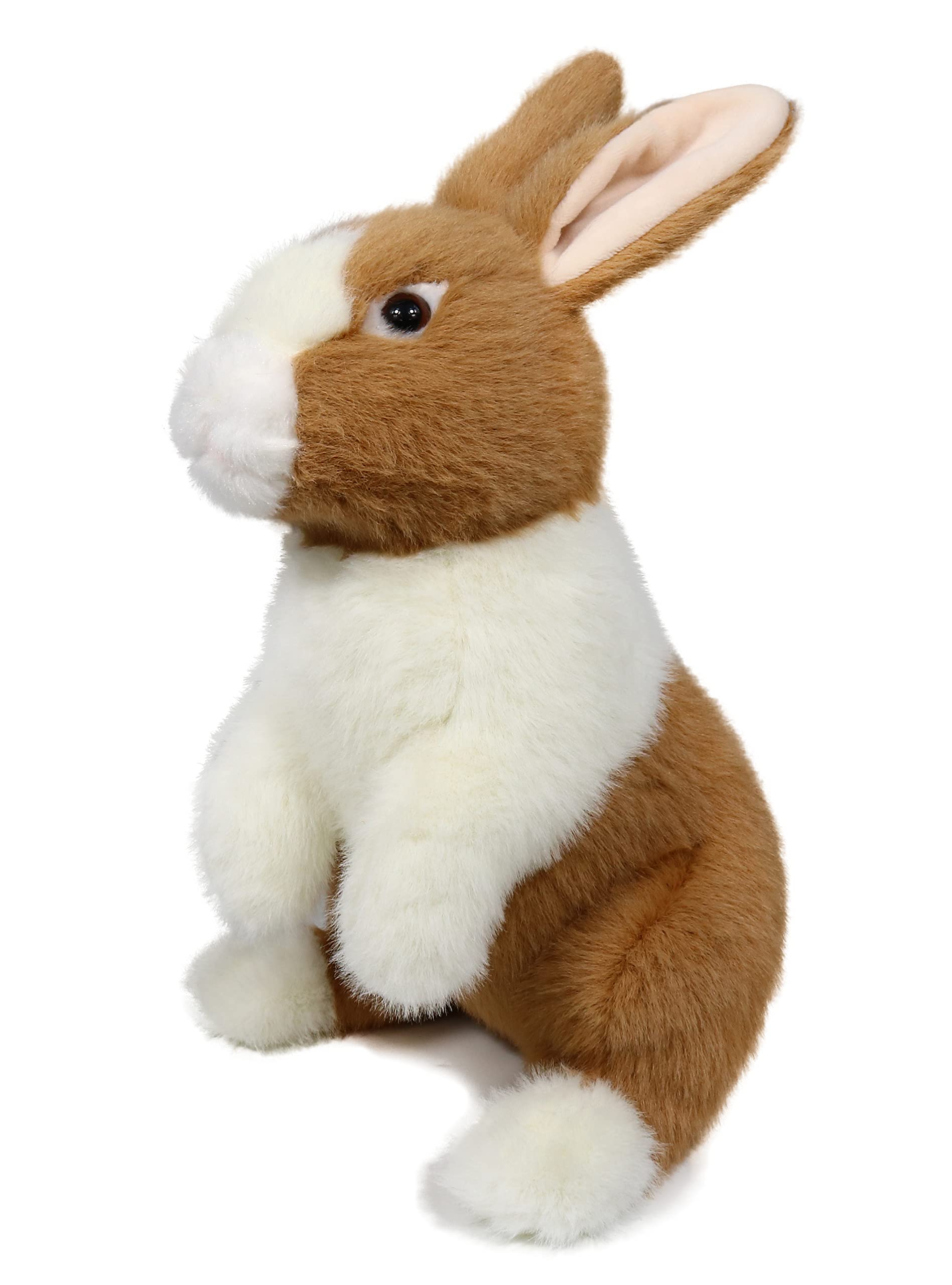 Dutch Rabbits
