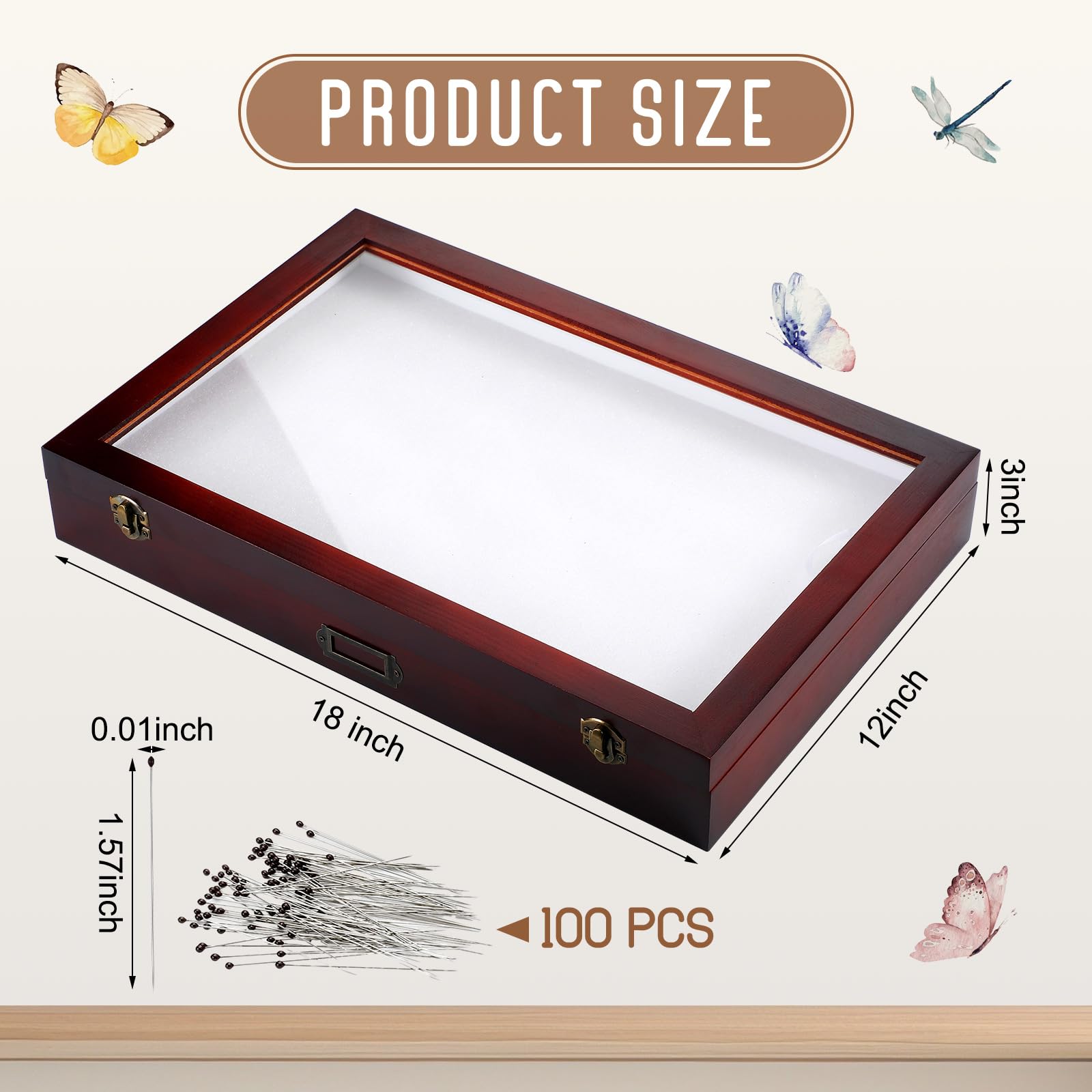 Insect Display Case With Clear Glass Top, EVA Foam Pinning Board Riker ...