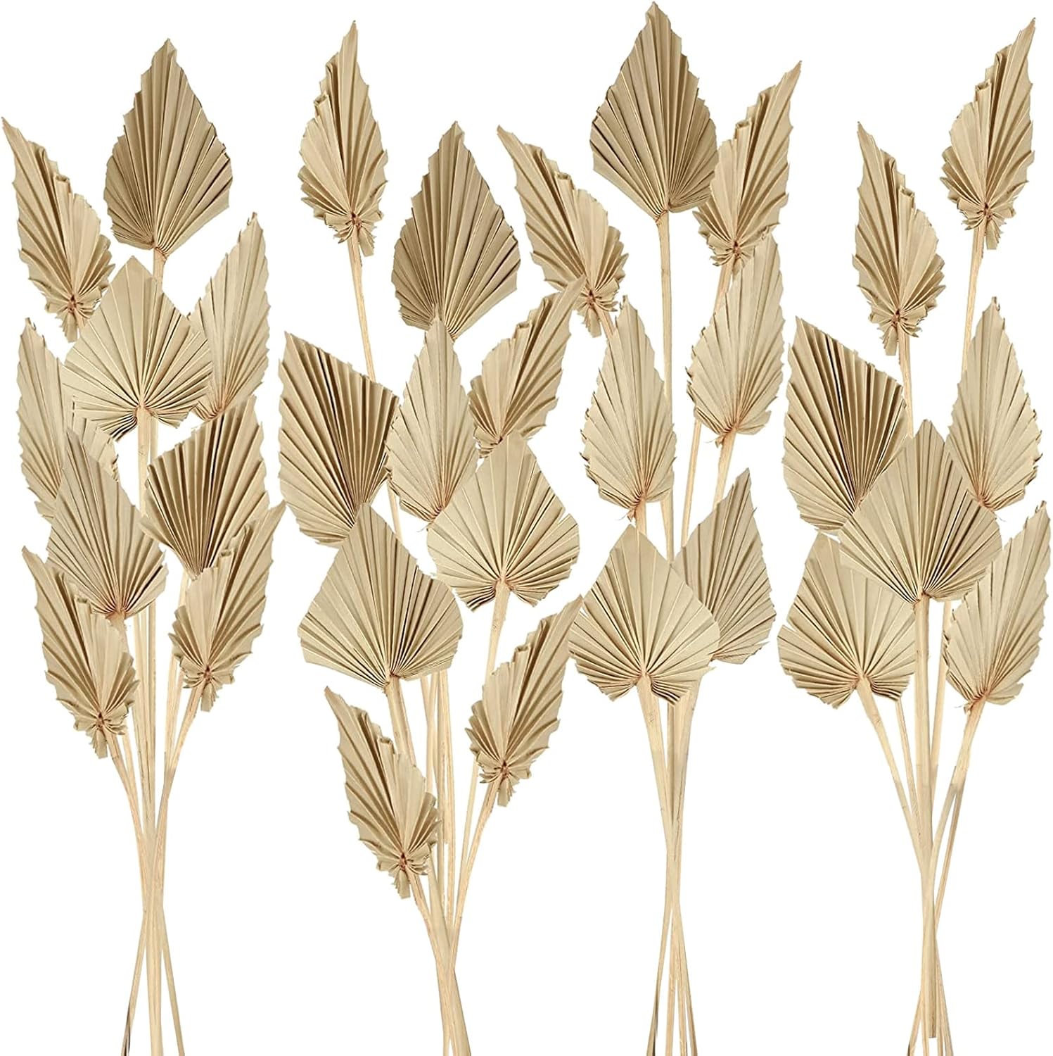 Amazon.com: Chenkaiyang 40 Pcs Boho Dried Palm Spears Leaves Bulk ...
