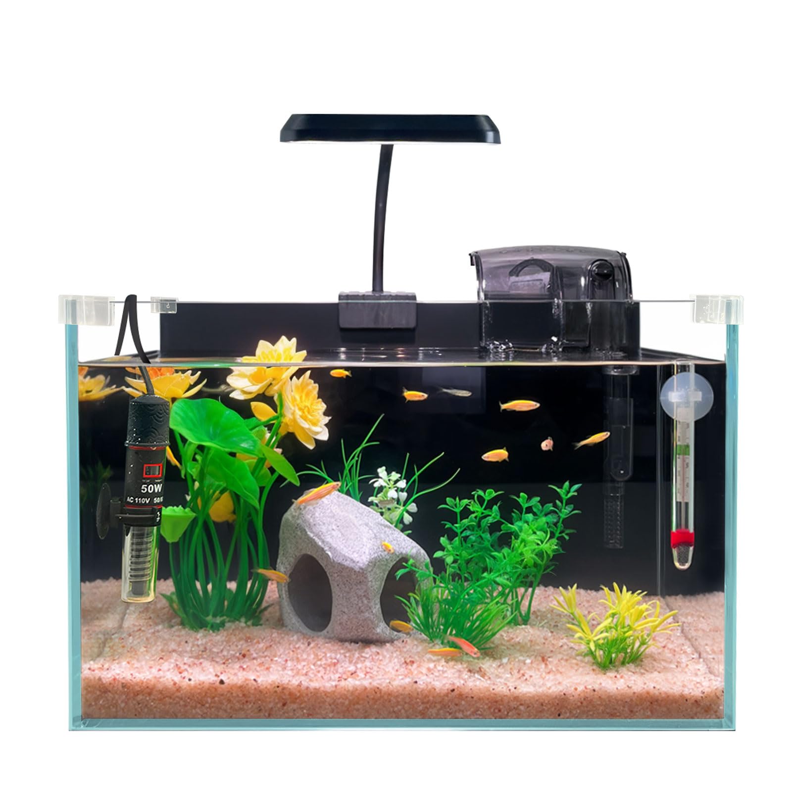 Betta Fish Tanks With Filter