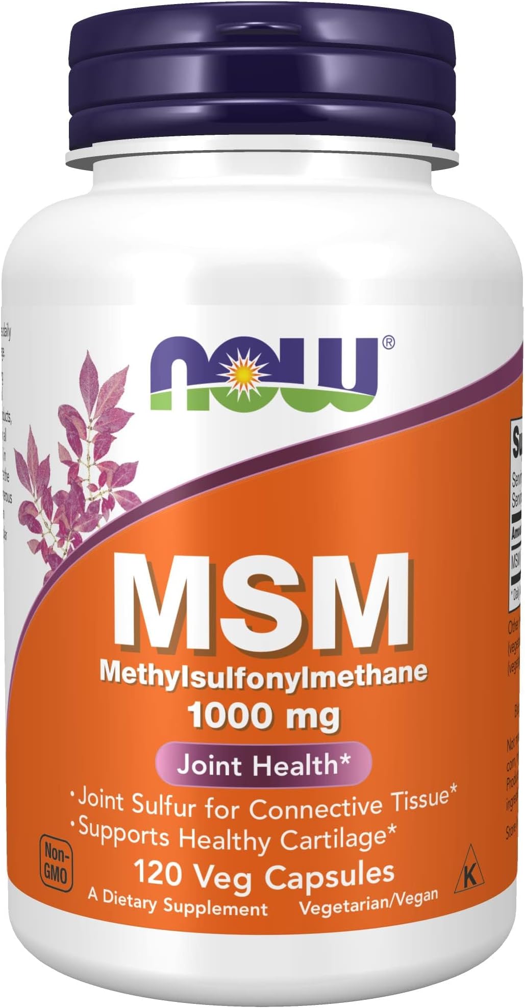 Amazon.com: Solaray Pure MSM Capsules, 1000 mg, 60 Count : Health ...