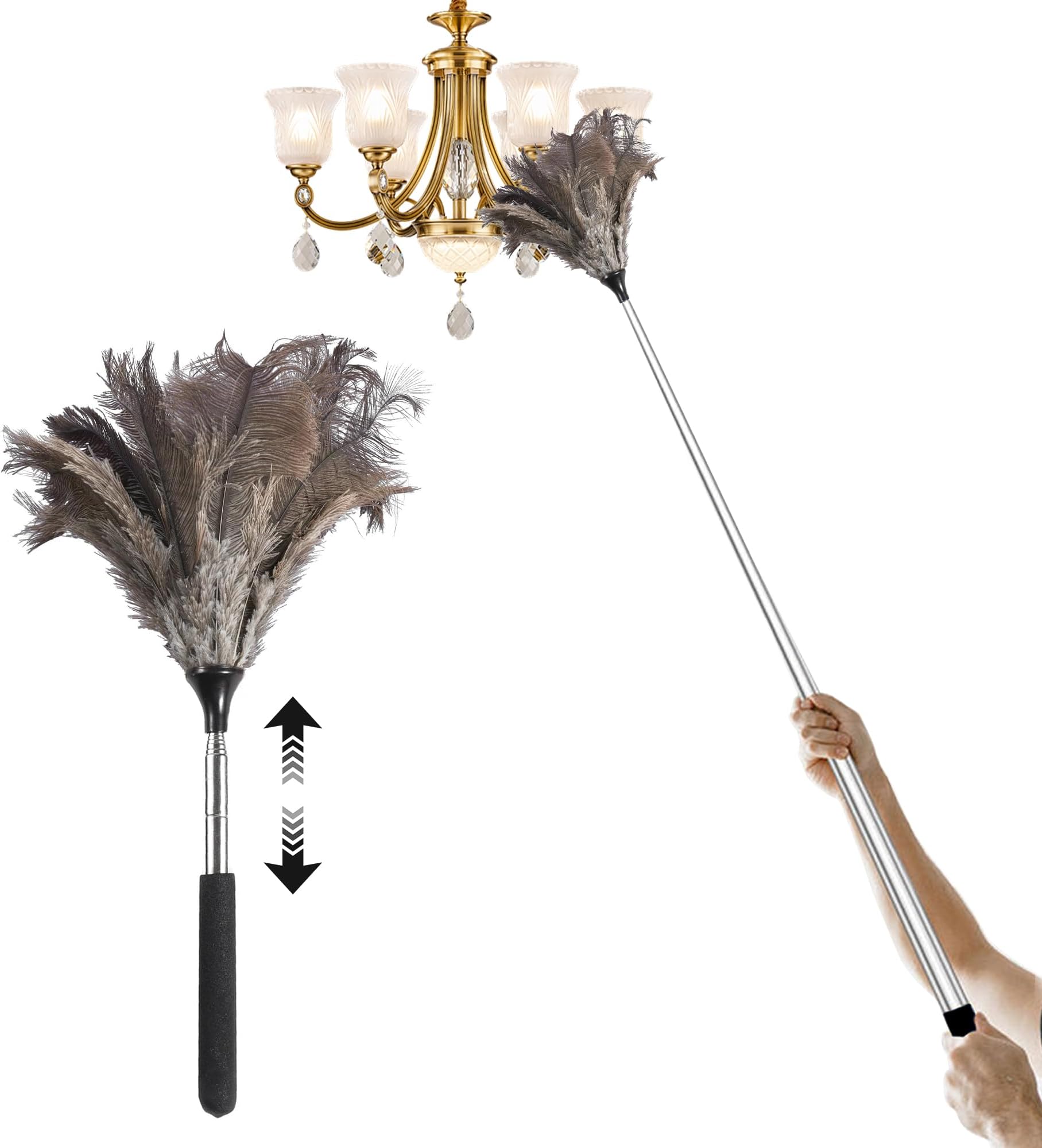 Lakeland Extendable Ostrich Feather Duster : Amazon.co.uk: Grocery