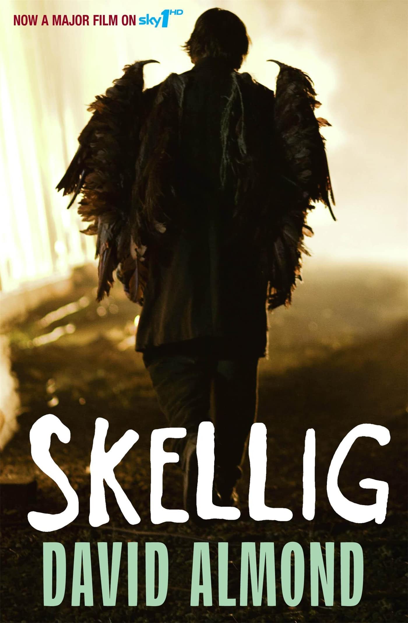 Skellig: almond-david: 9780340997048: Amazon.com: Books