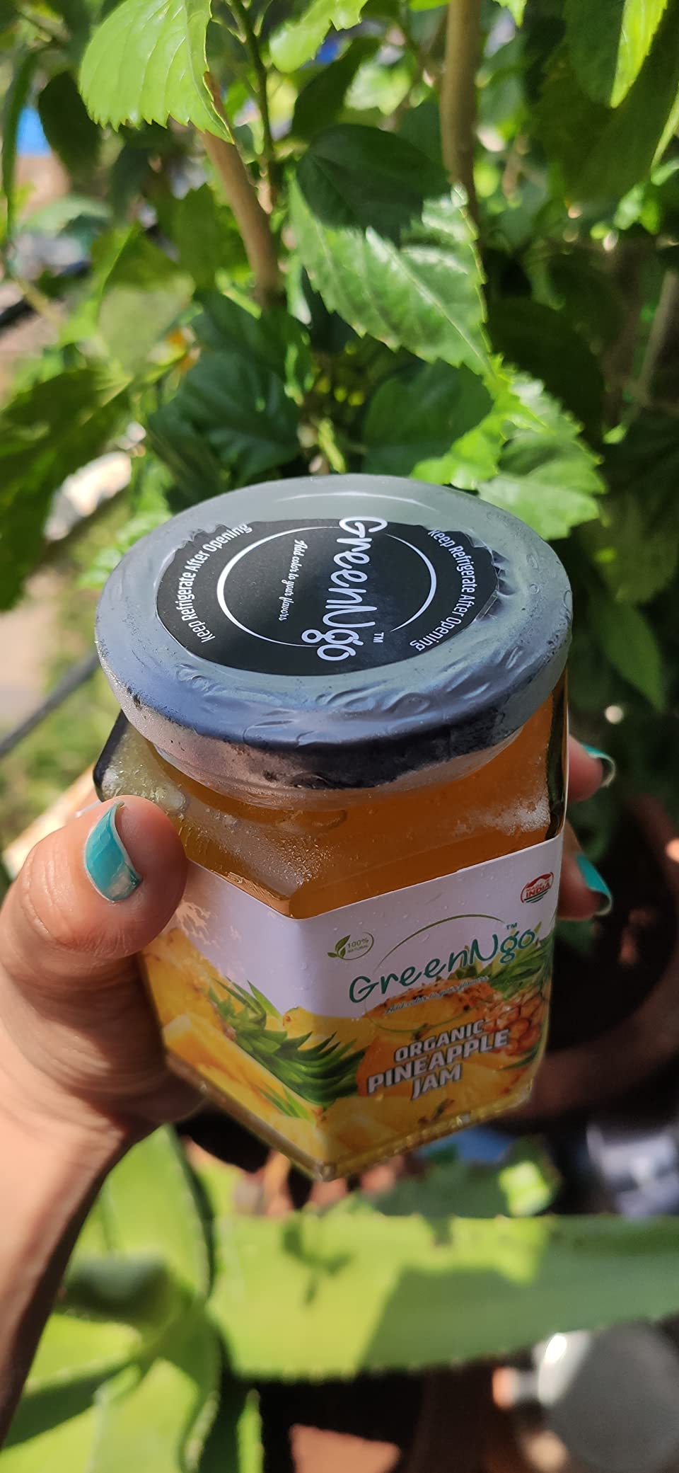 GREENNGO Organic Pineapple Jam (330g) I No Preservatives I No Added ...