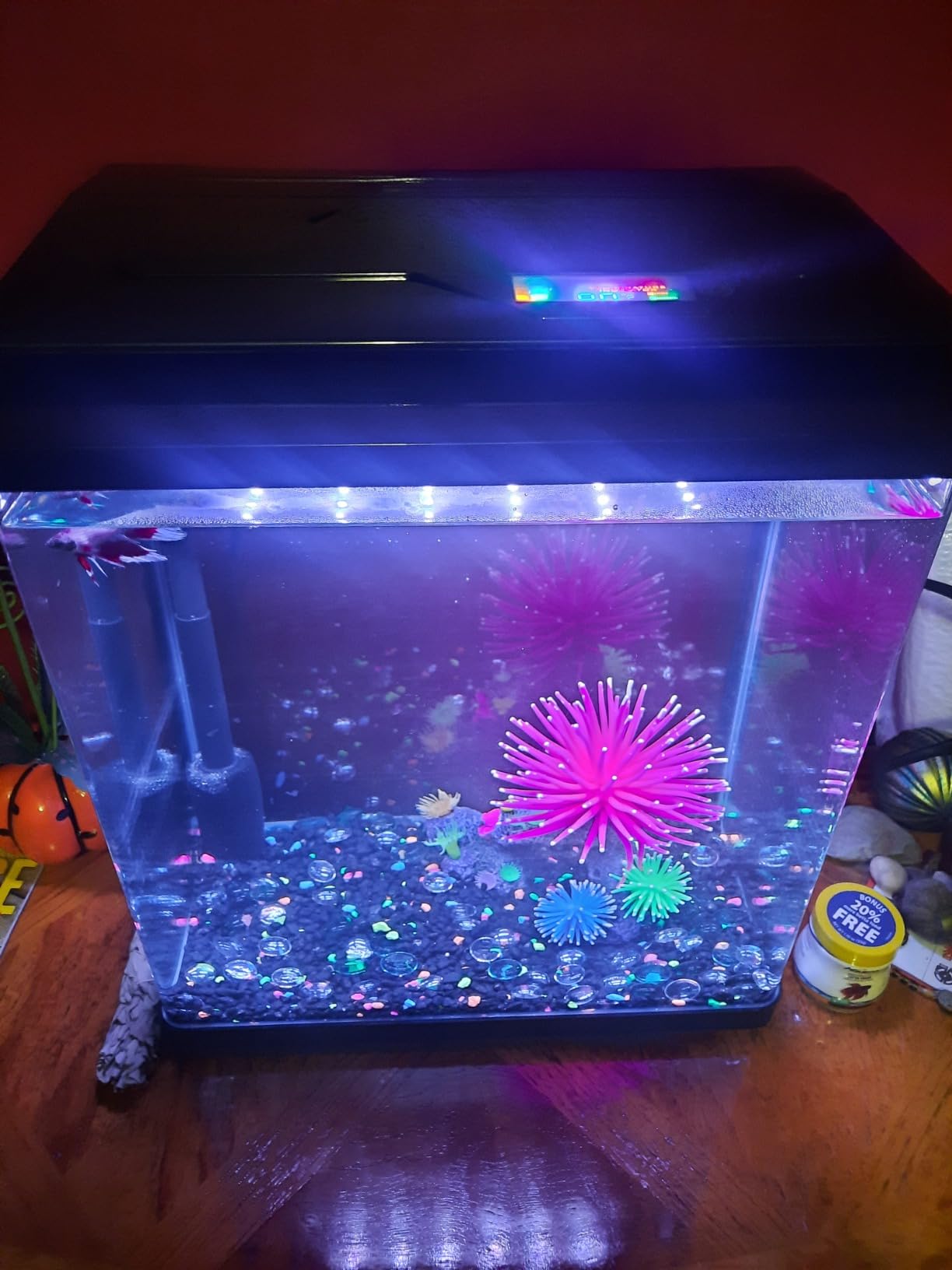 $11/mo - Finance PONDON Fish Tank, 3 Gallon Glass Aquarium, 3 in 1 Fish ...