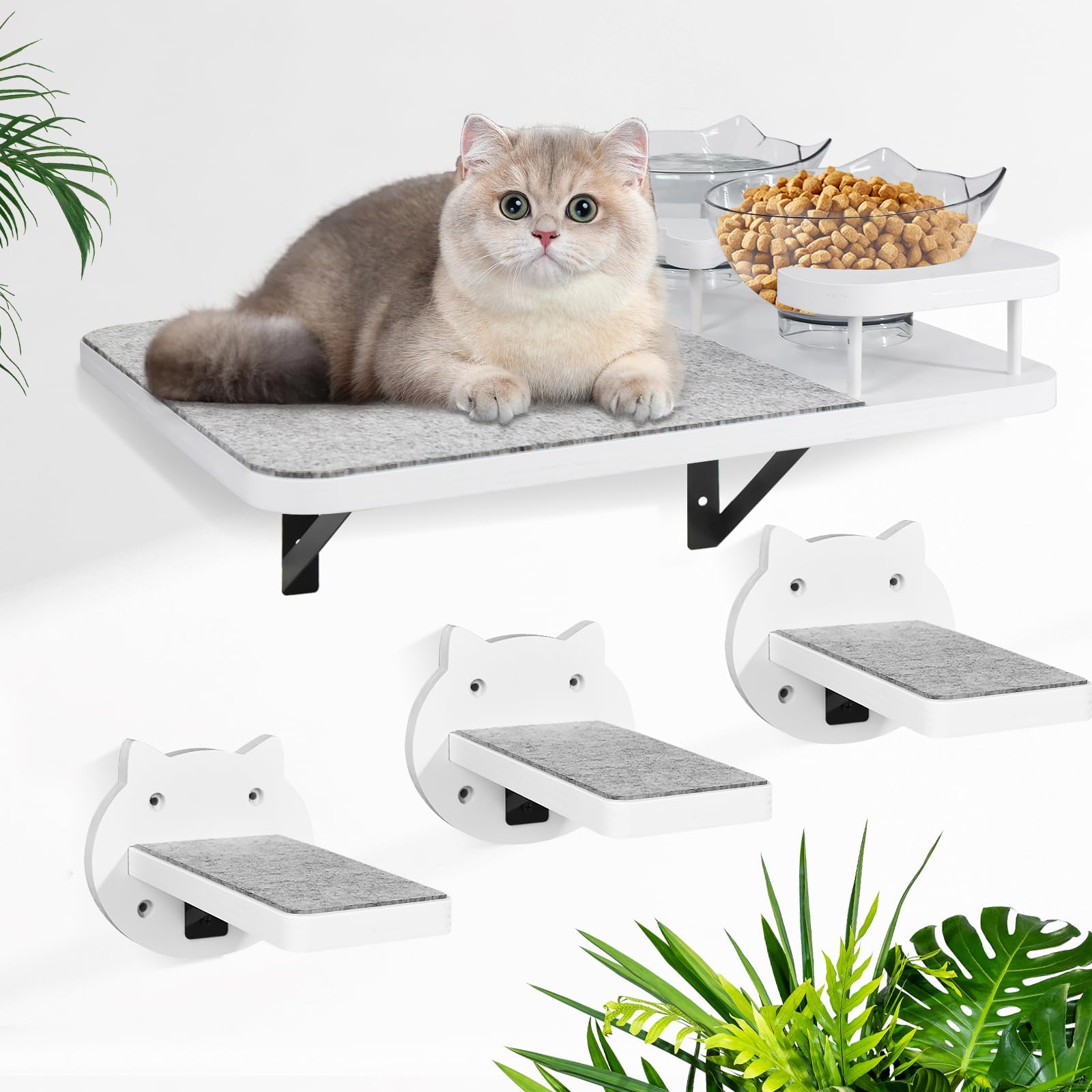 Amazon.com : Cat Wall Shelves, Cat Shelves and Perches for Wall, Cat ...
