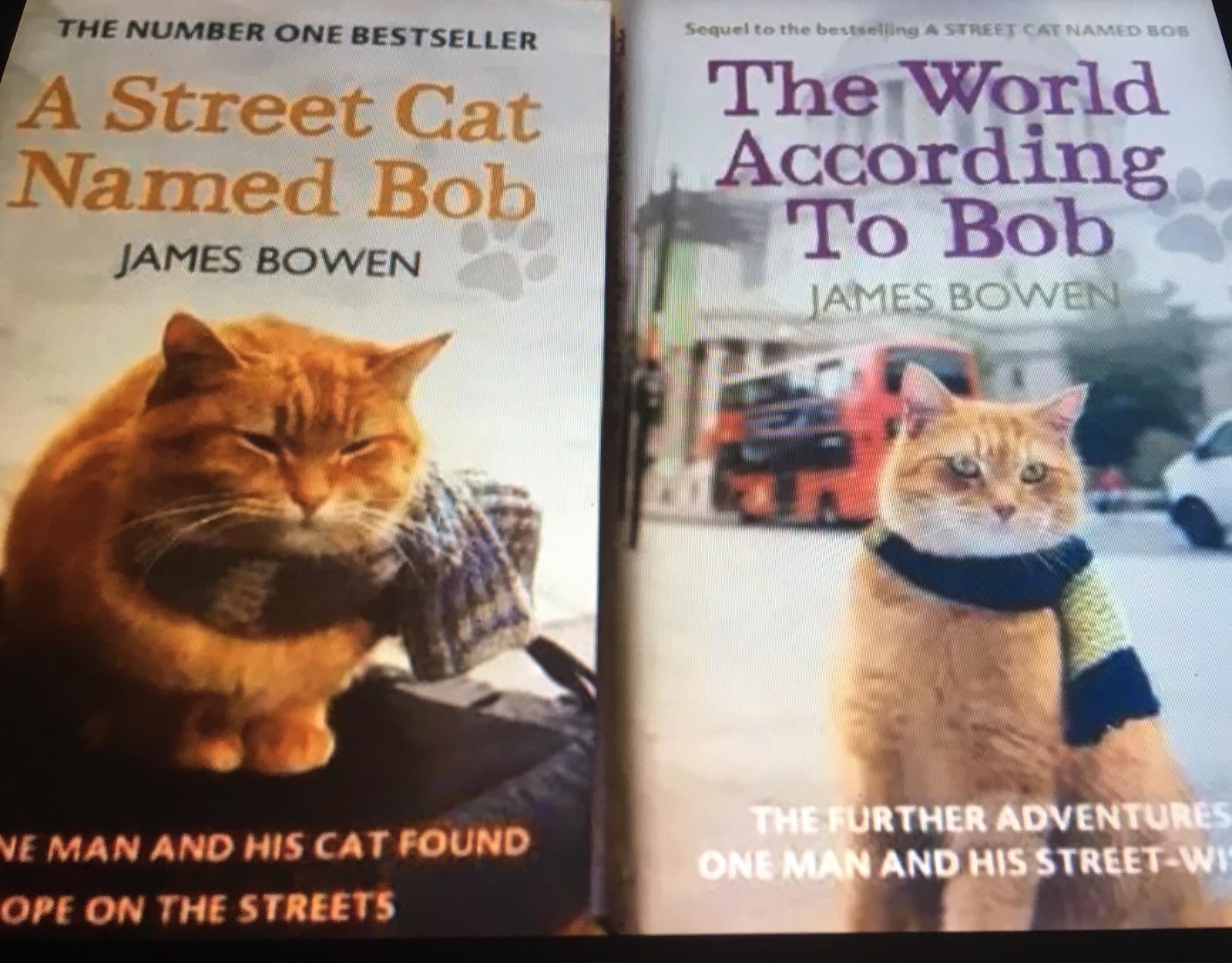 [[A Street Cat Named Bob: How one man and his cat found hope on the ...