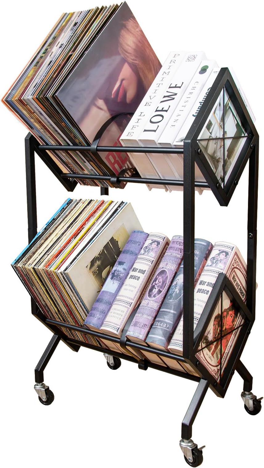 Amazon.com: RANXFLOAT Vinyl Record Storage Rack, 2 Tier Record ...