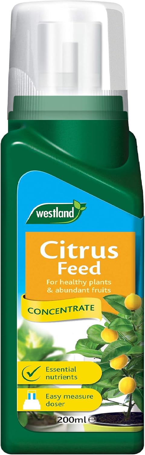 Westland Citrus Tree Feed Concentrate, 200 ml : Amazon.co.uk: Garden