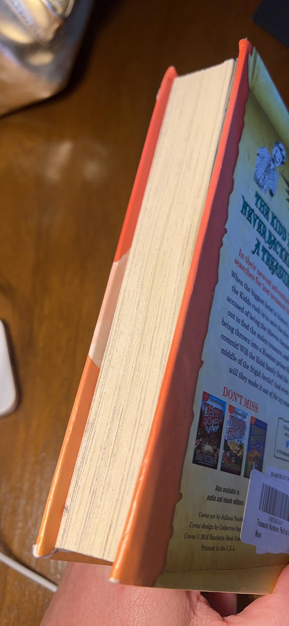 Treasure Hunters: Peril at the Top of the World (Treasure Hunters, 4 ...