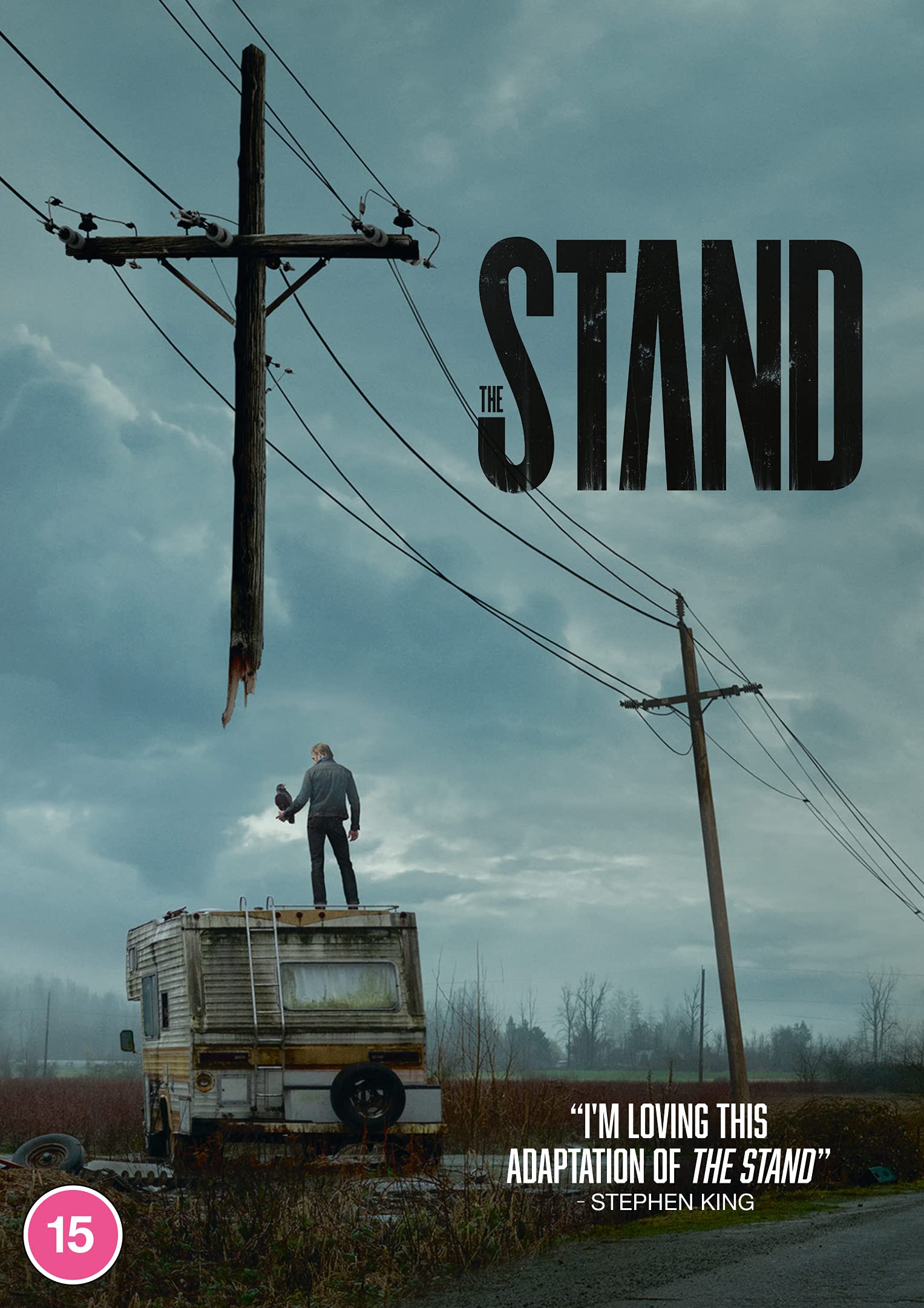 The Stand: A Limited Series [DVD] [2021]: Amazon.co.uk: Whoopi Goldberg ...