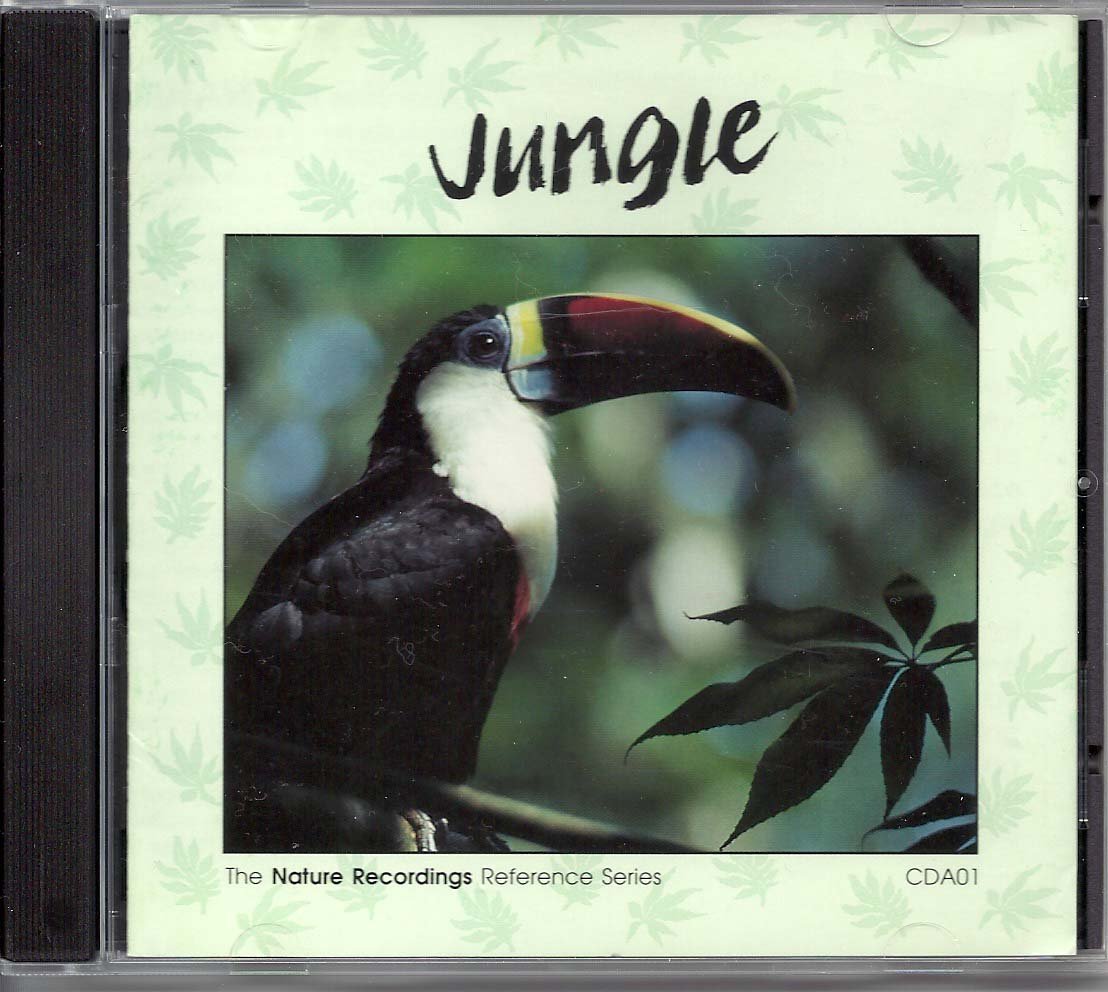 Jungle: Amazon.de: Musik-CDs & Vinyl