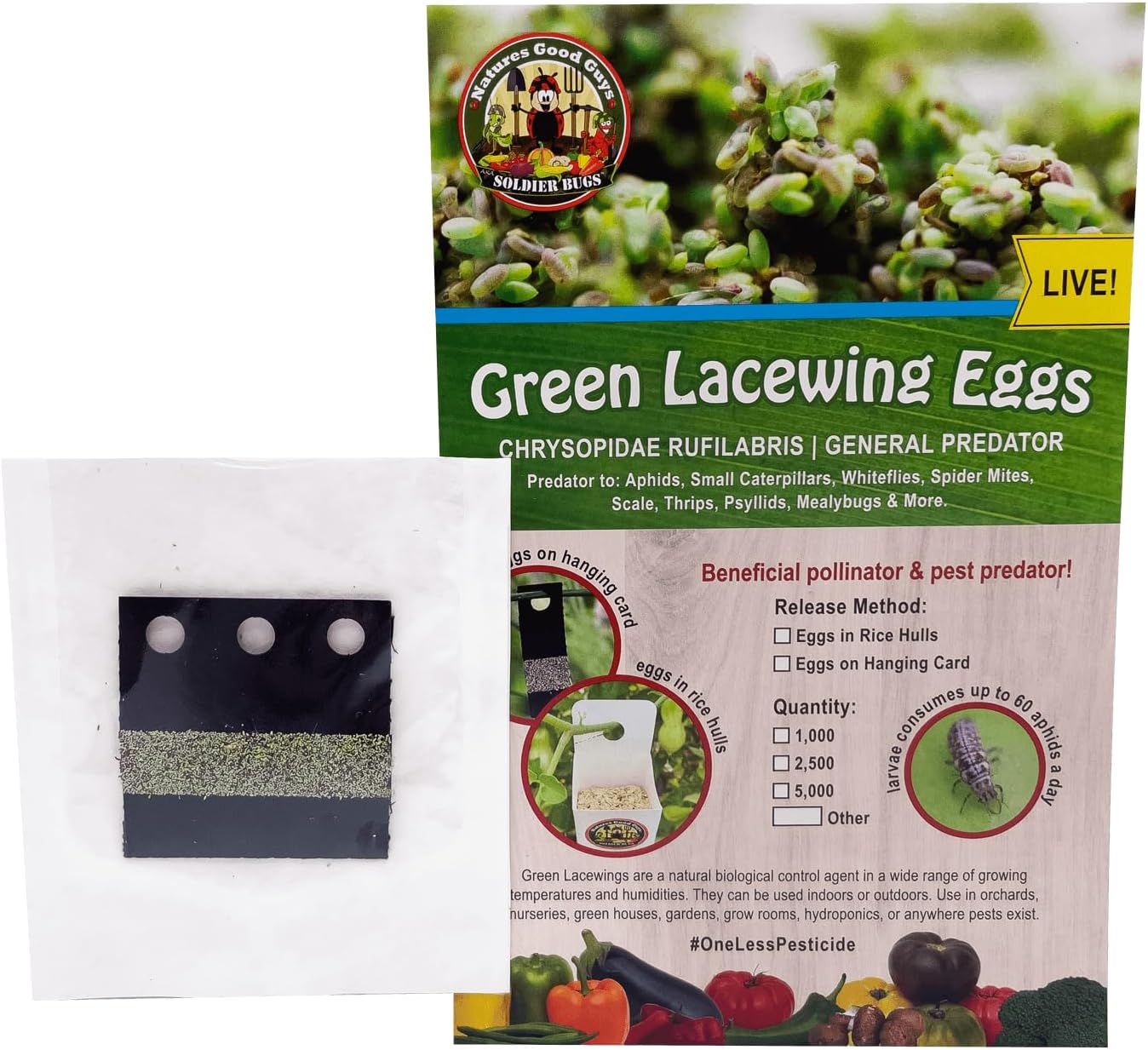 Amazon.com : Green Lacewing Eggs on Hanging Card - 1000 Count : Patio ...