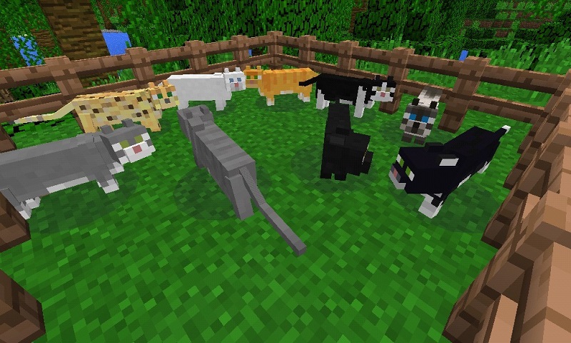 Cat Minecraft This New Horror Creature Is Terrifying..|| Minecraft's