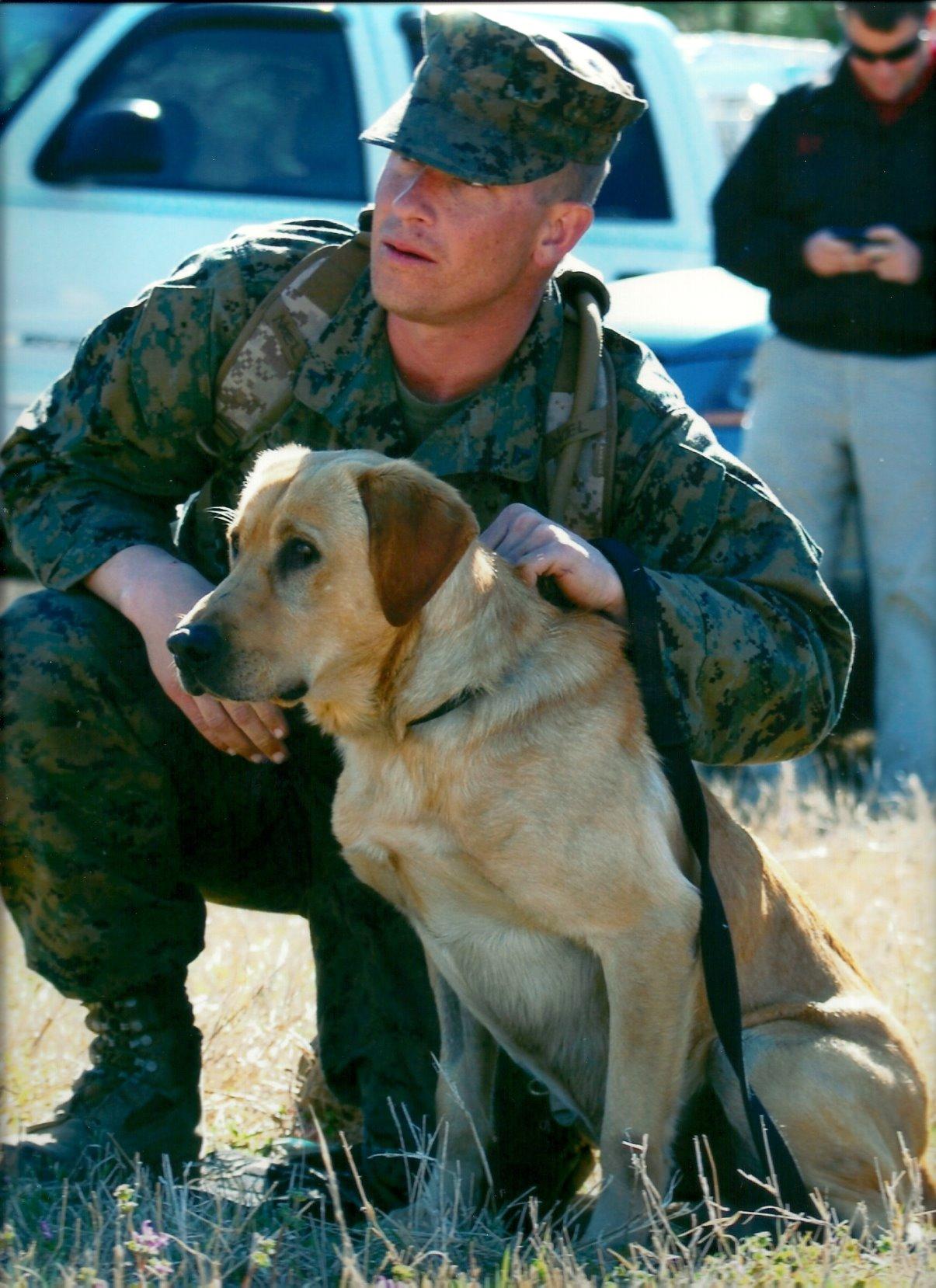 Amazon.com: Always Faithful: A Memoir of the Marine Dogs of WWII ...