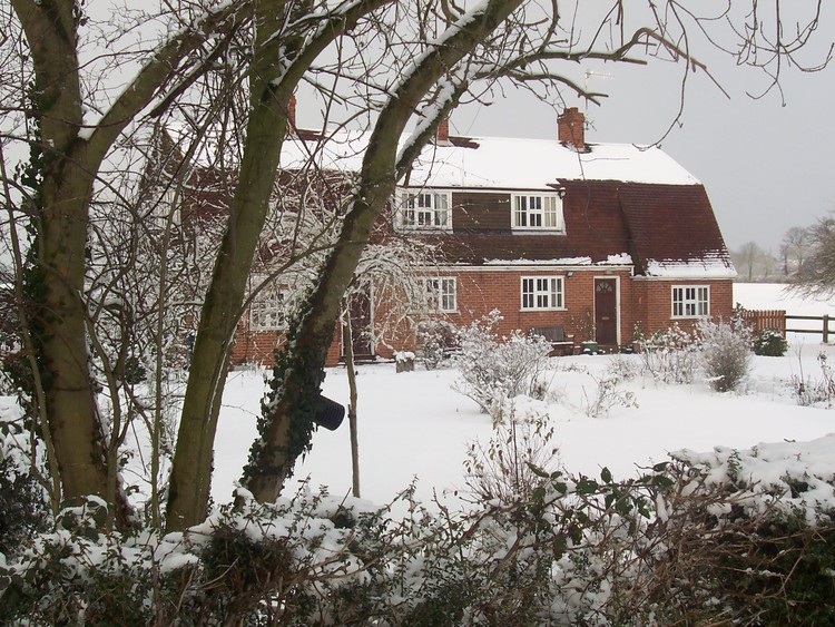 Amazon.com: Stuart Walker: books, biography, latest update