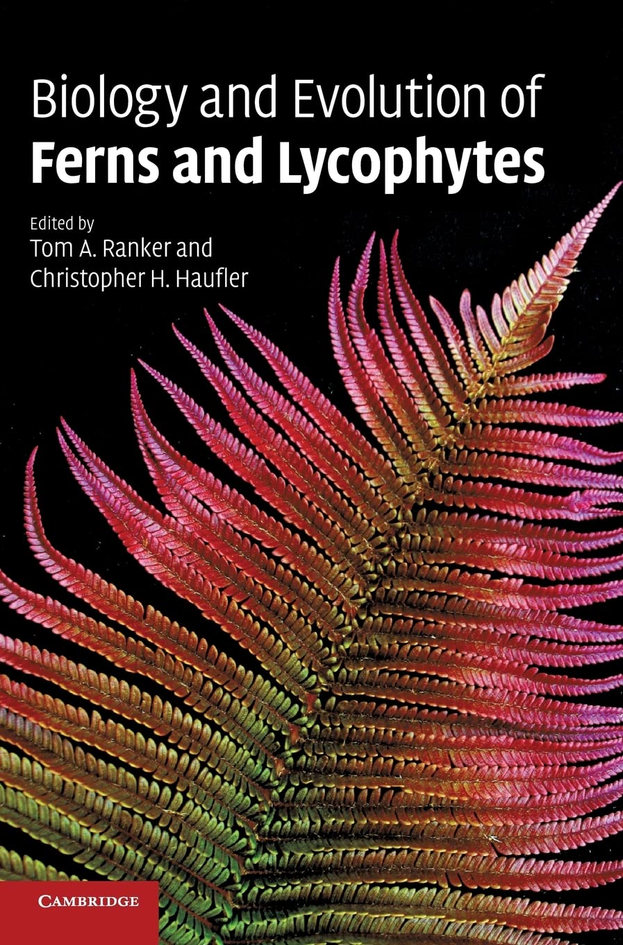 Amazon.com: Biology and Evolution of Ferns and Lycophytes ...