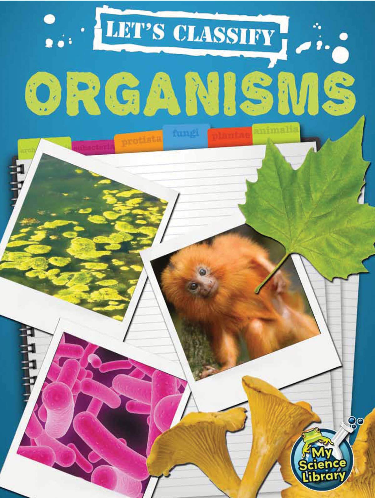 Rourke Educational Media Let's Classify Organisms (My Science Library ...