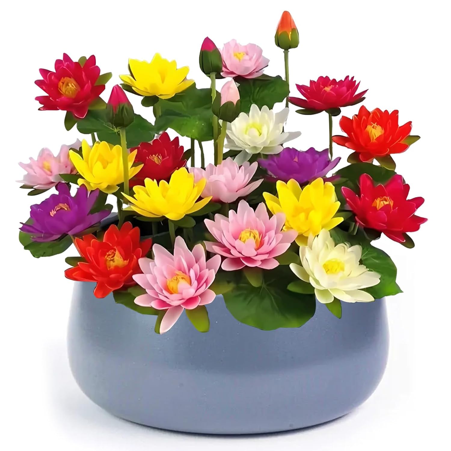 To view this video download Flash Player