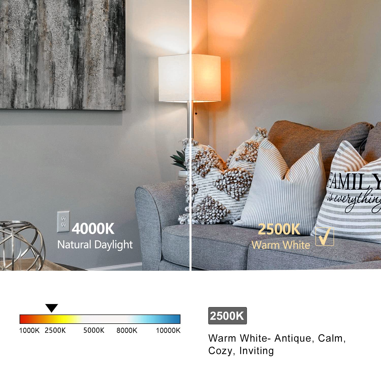Snapklik.com : Austin Coast A21 Vintage LED Edison Bulb,6W Warm White ...