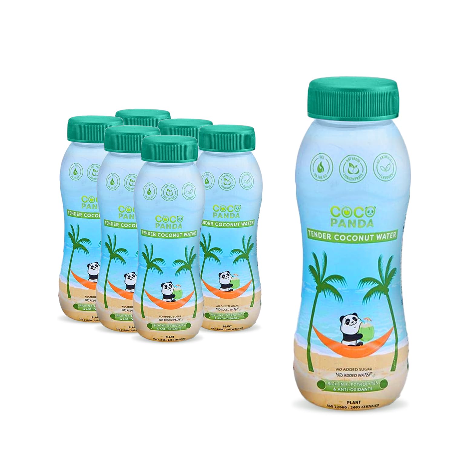 Coco Panda 100% Natural Tender Coconut Water - Pack of 6 (each 200 ml ...