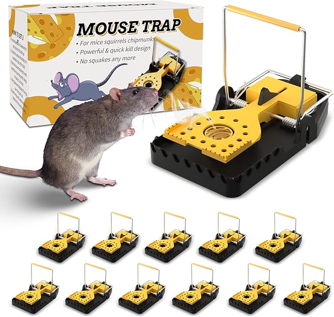 Amazon.com : TOIUOT Mouse Traps Indoor for Home,Quick Sensitive ...