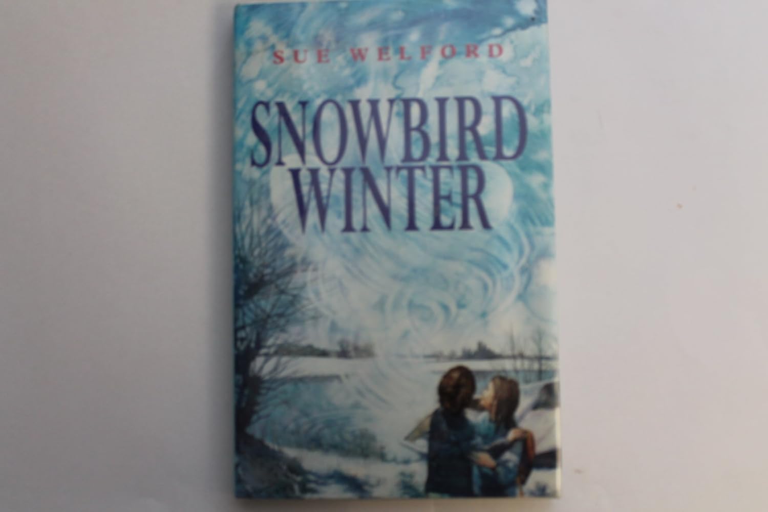 Snowbird Winter: Welford, Sue: 9780192717290: Amazon.com: Books