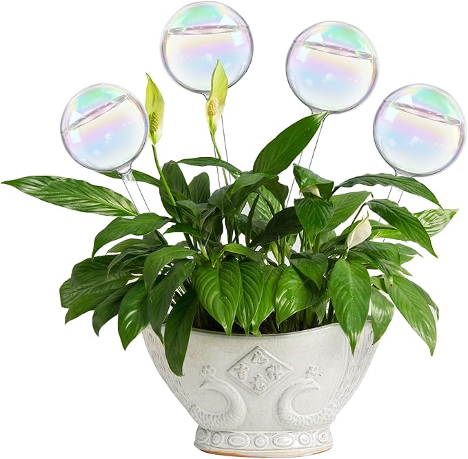 Amazon.com: Asoleo Plant Watering Globes, 4-Pack Self Watering Spikes ...