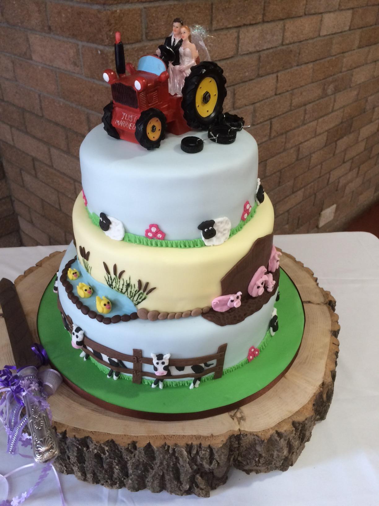 Bride and Groom on a Red Tractor Cake Topper (XCCM423RD) : Amazon.co.uk
