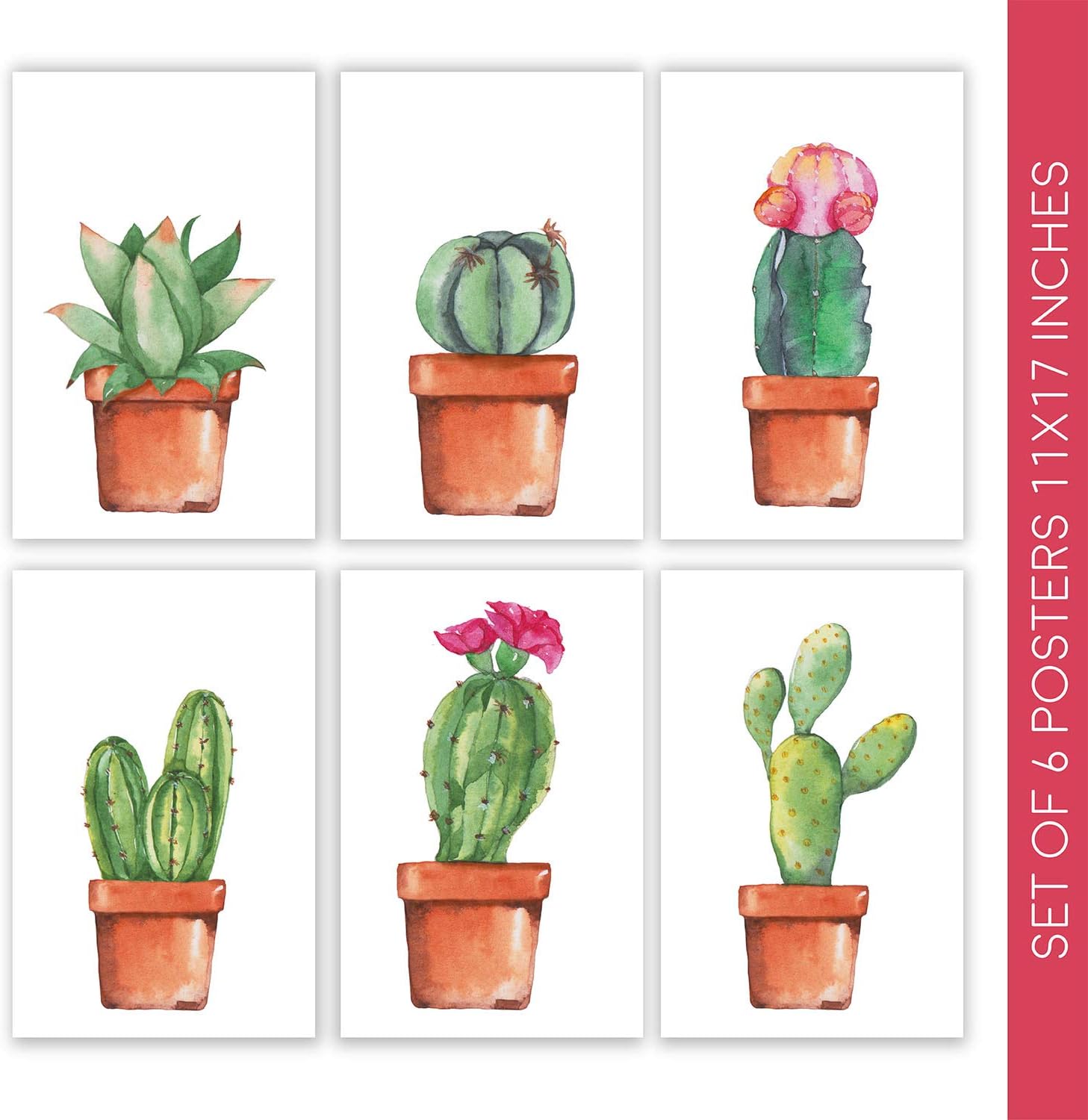 Amazon.com: Cactus Plant Poster | Botanical Wall Art | Cactus Gifts for ...