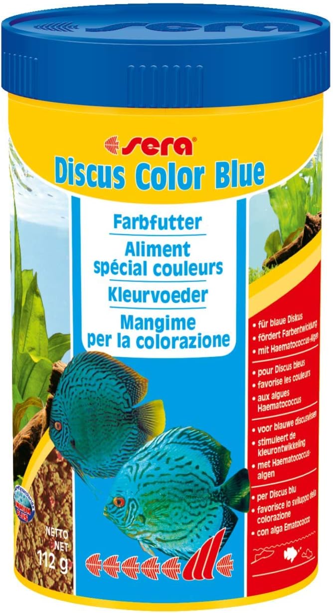 sera Discus Color blue 250 ml, 1er Pack (1 x 250 ml) : Amazon.de: Haustier