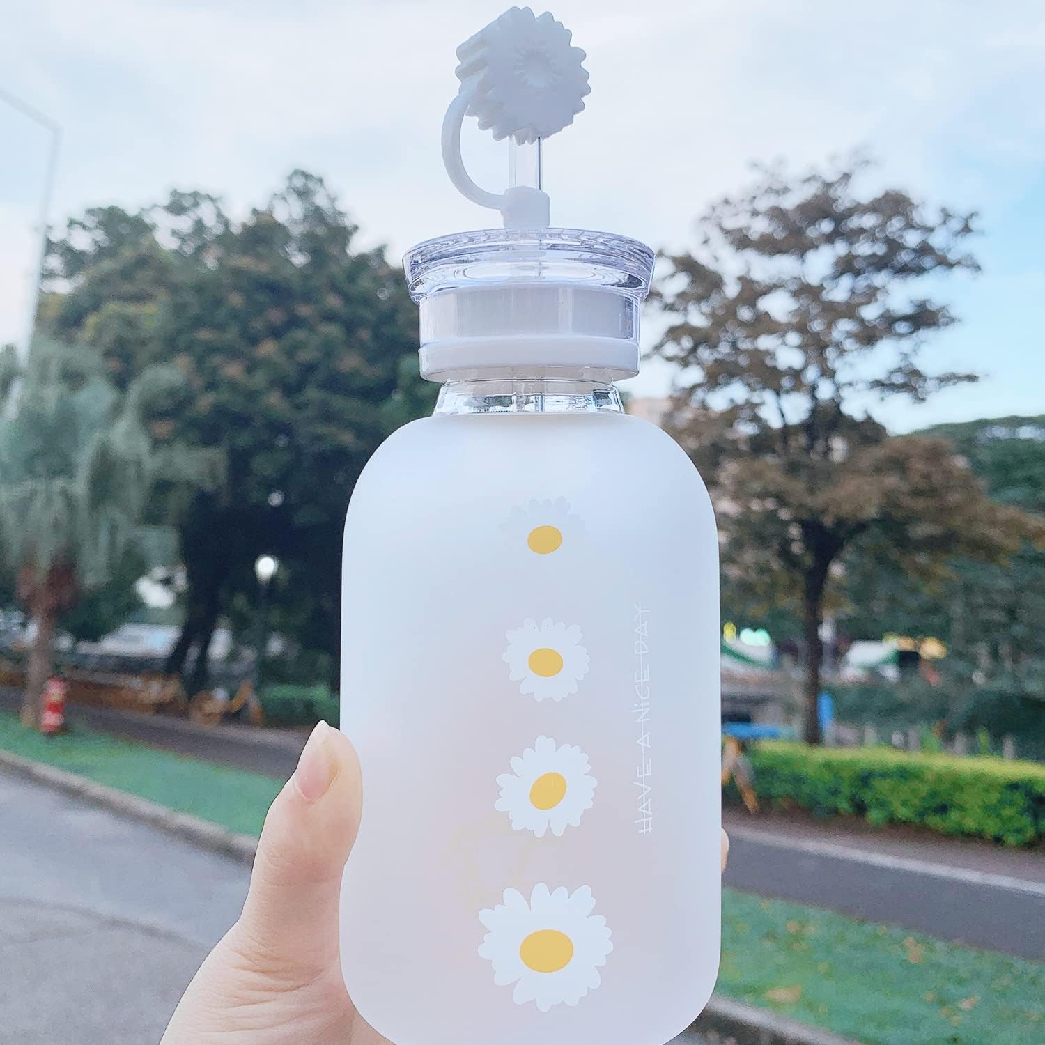 Amazon.com: WHJY 16oz Cute Water Bottle, Glass Water bottle with Straw ...
