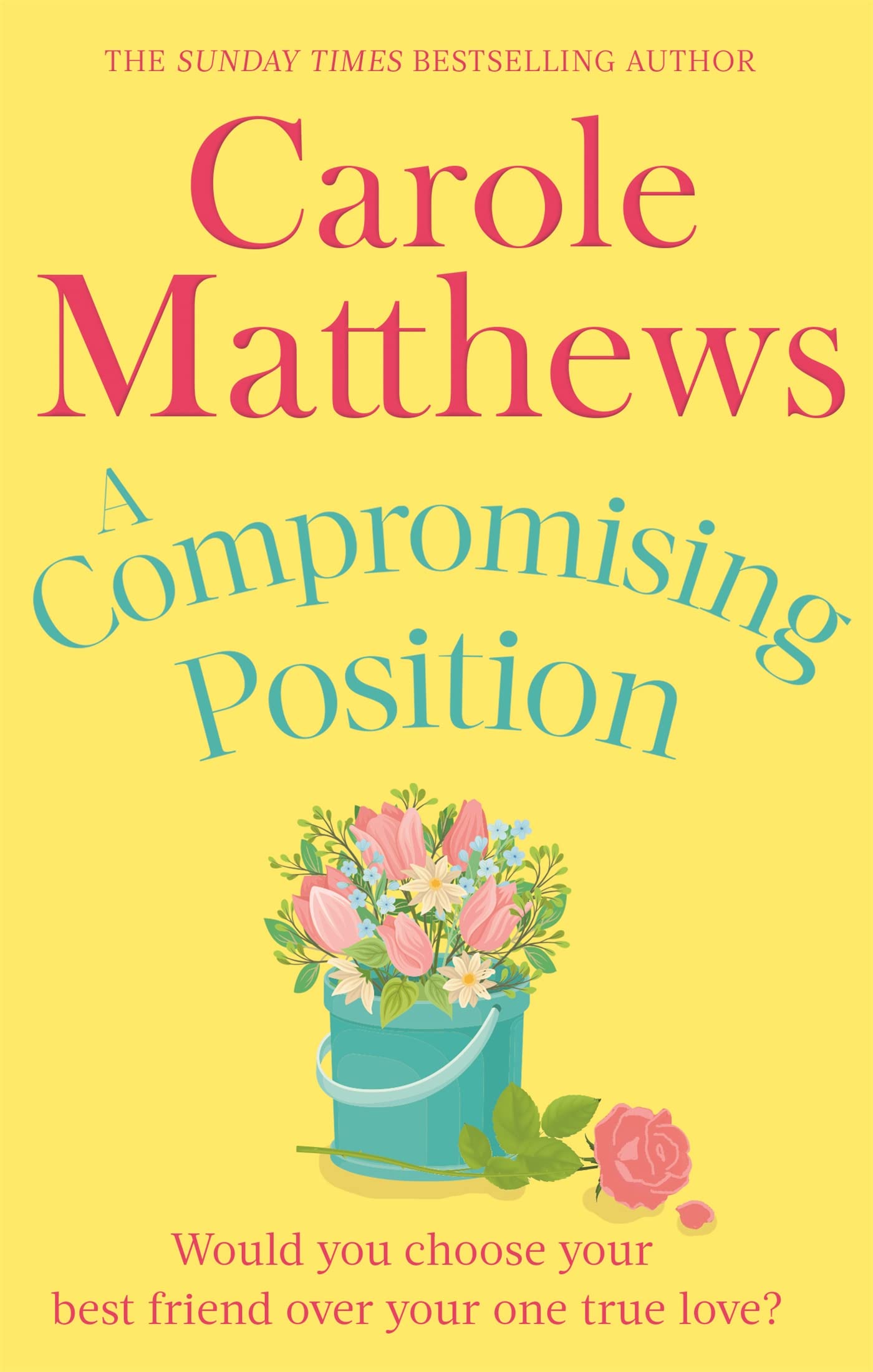 Amazon.com: A Compromising Position: 9780751551433: Matthews, Carole: Books