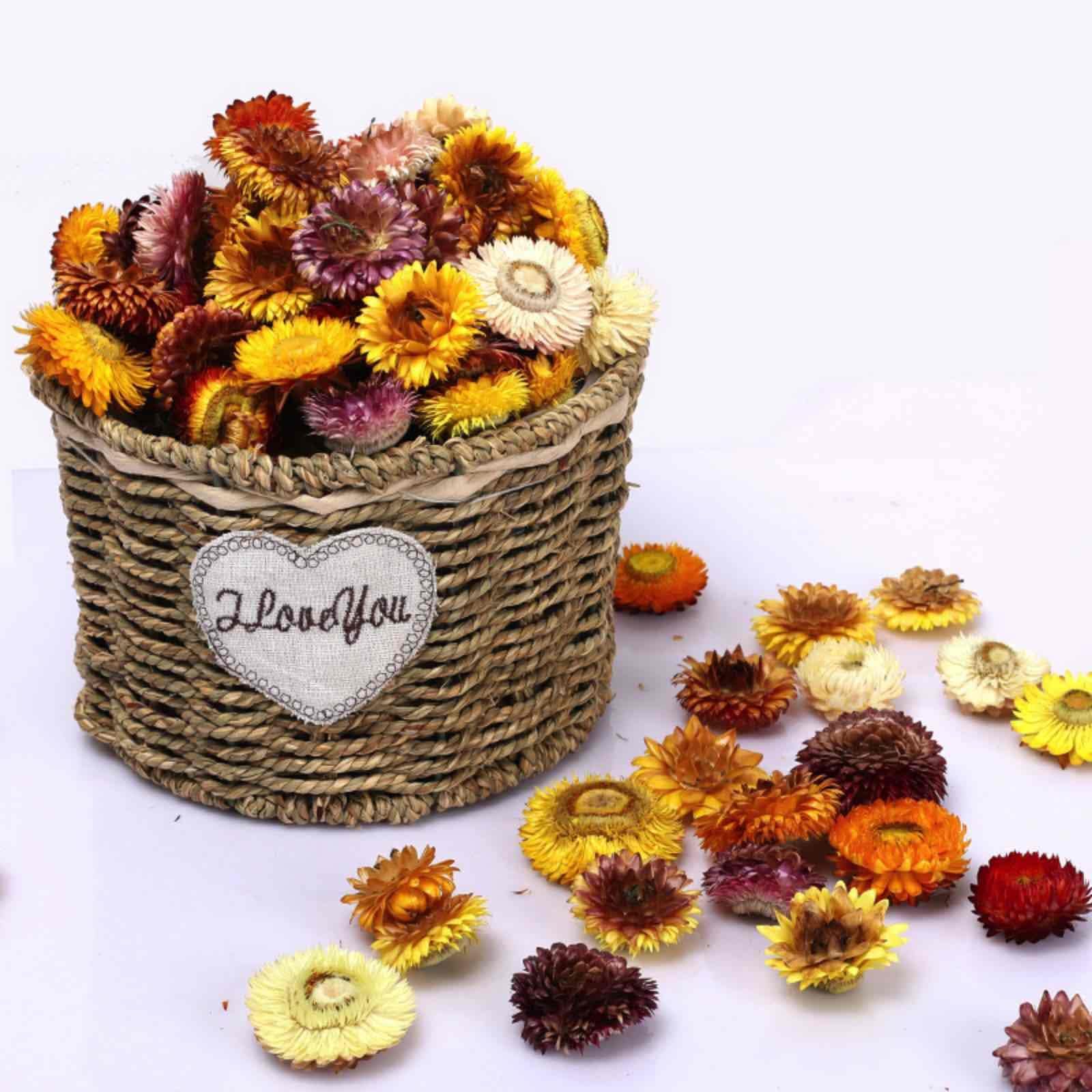 Amazon.com: MOORCHOCO Natural Dried Daisy Flowers Heads - 55~60 Pcs ...