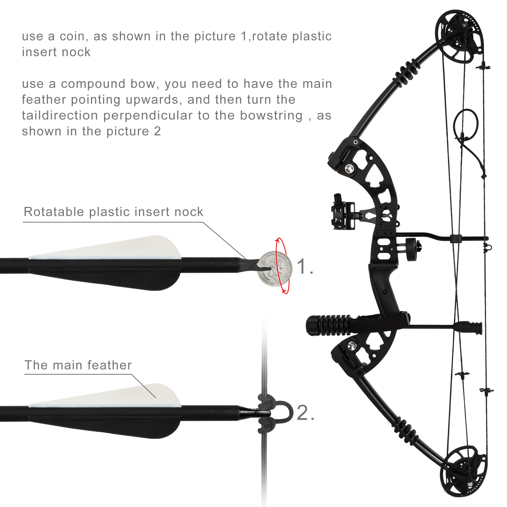 Compound Jagdbogen M131 Compound Bogen 30 55lbs Für Das Bogens