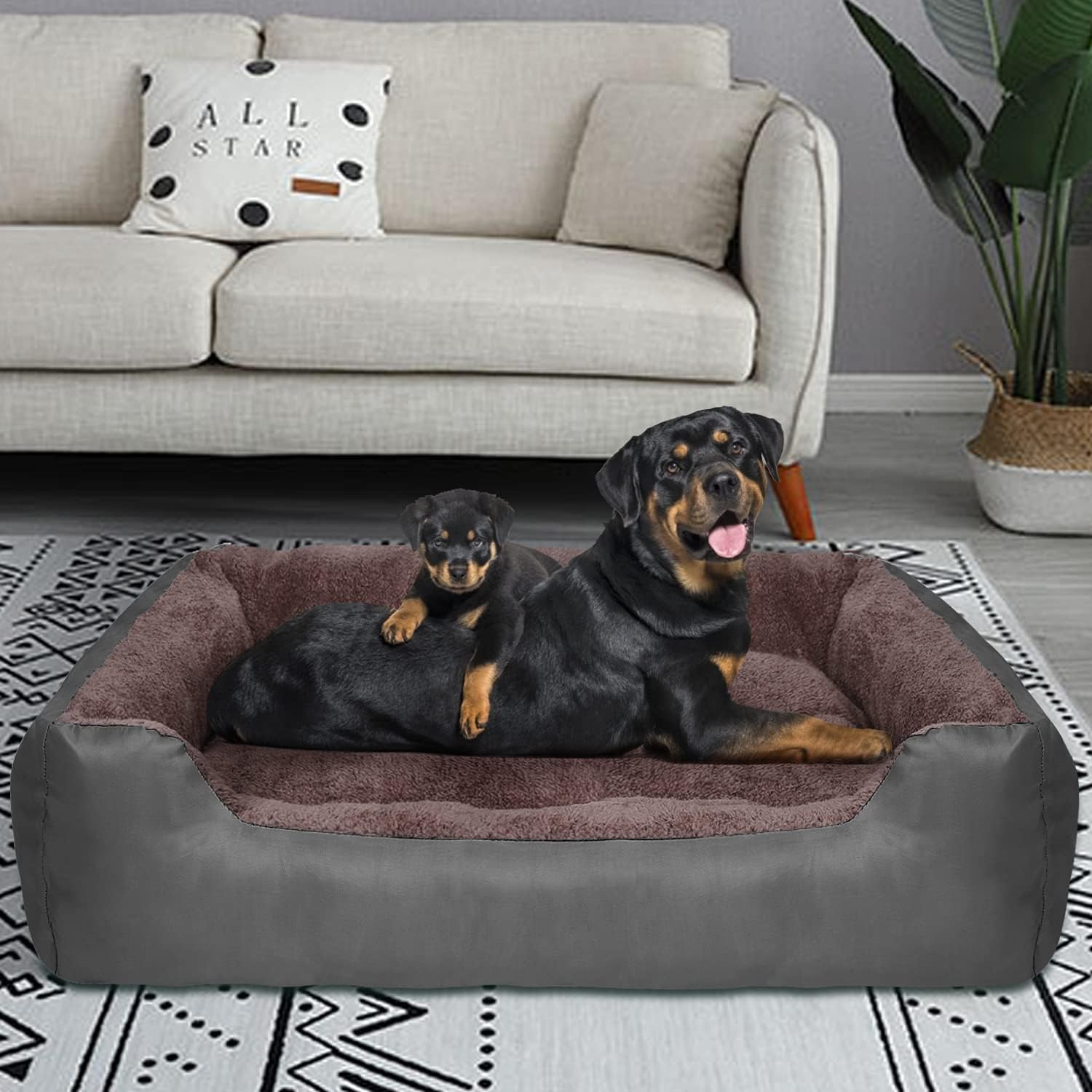 PUPPBUDD Camas para perros extragrandes, cama rectangular lavable para ...