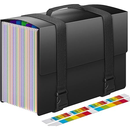 Amazon.com : Accordion File Organizer Expanding File Folders with Handle,25 Pockets Portable ...