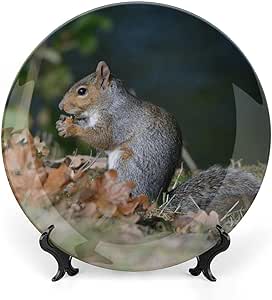 Amazon.com | Squirrel Chipmunk Decorative Plate for Wall Wobble-Plate ...