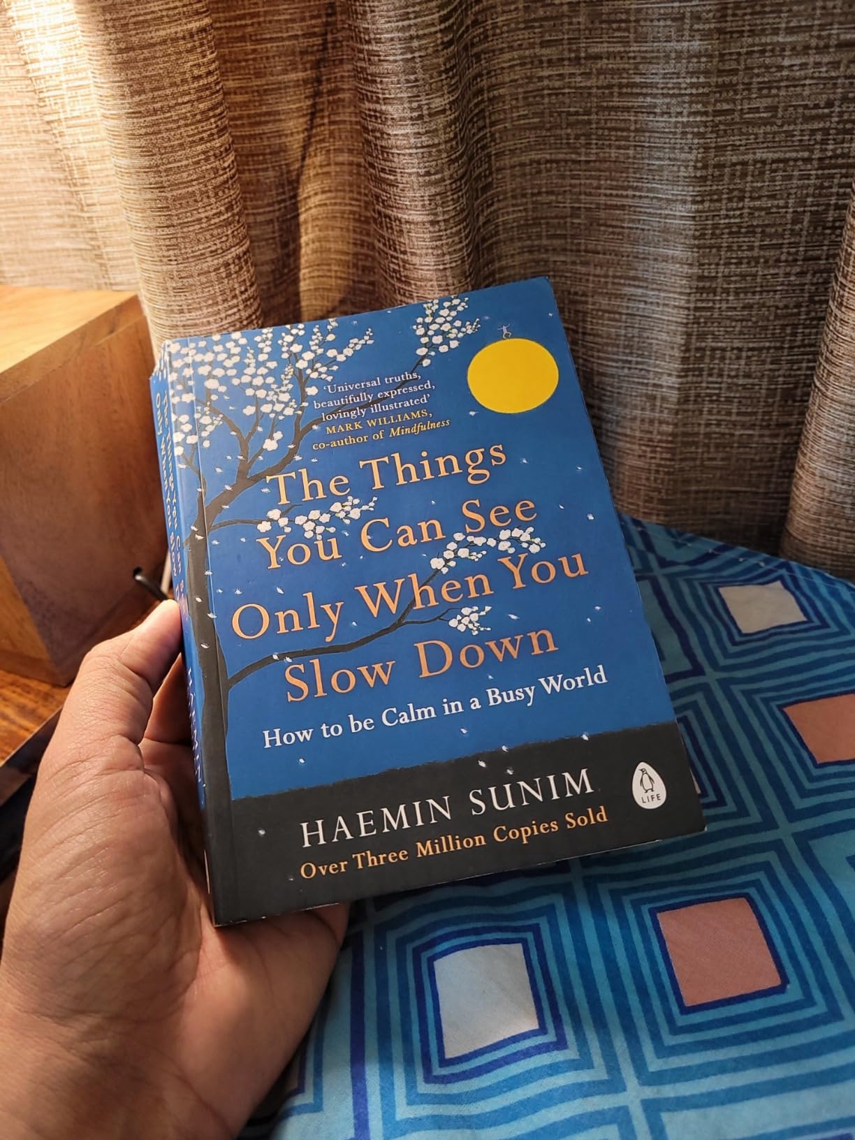 The Things You Can See Only When You Slow Down: How to be Calm in a ...
